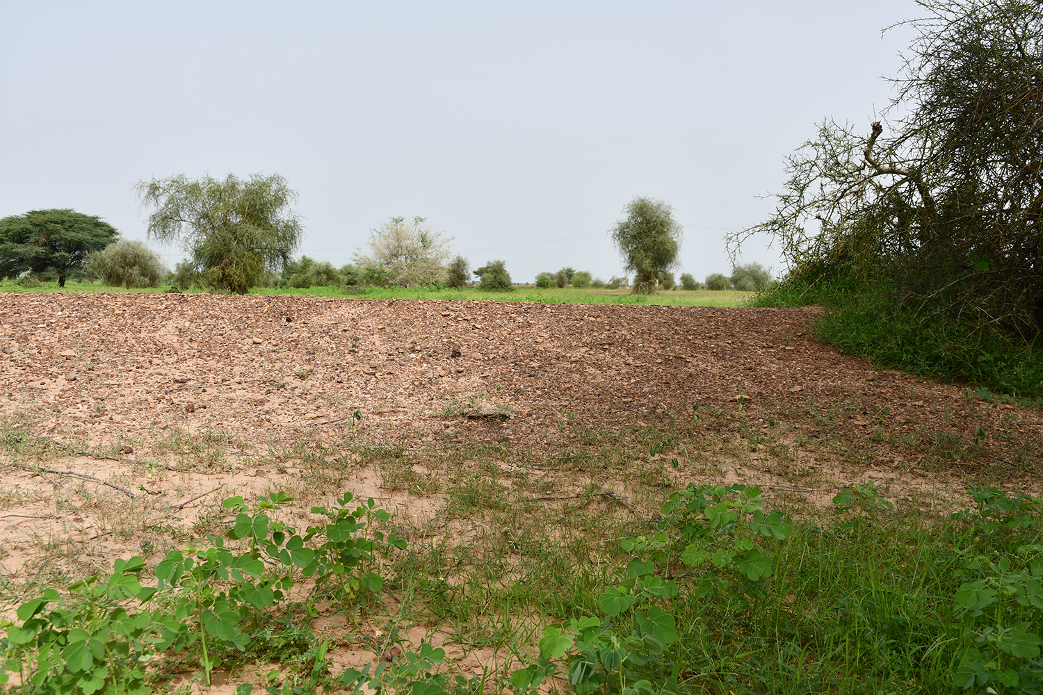 Les sites d’habitat de la vallée du fleuve Sénégal – Mapping Africa's